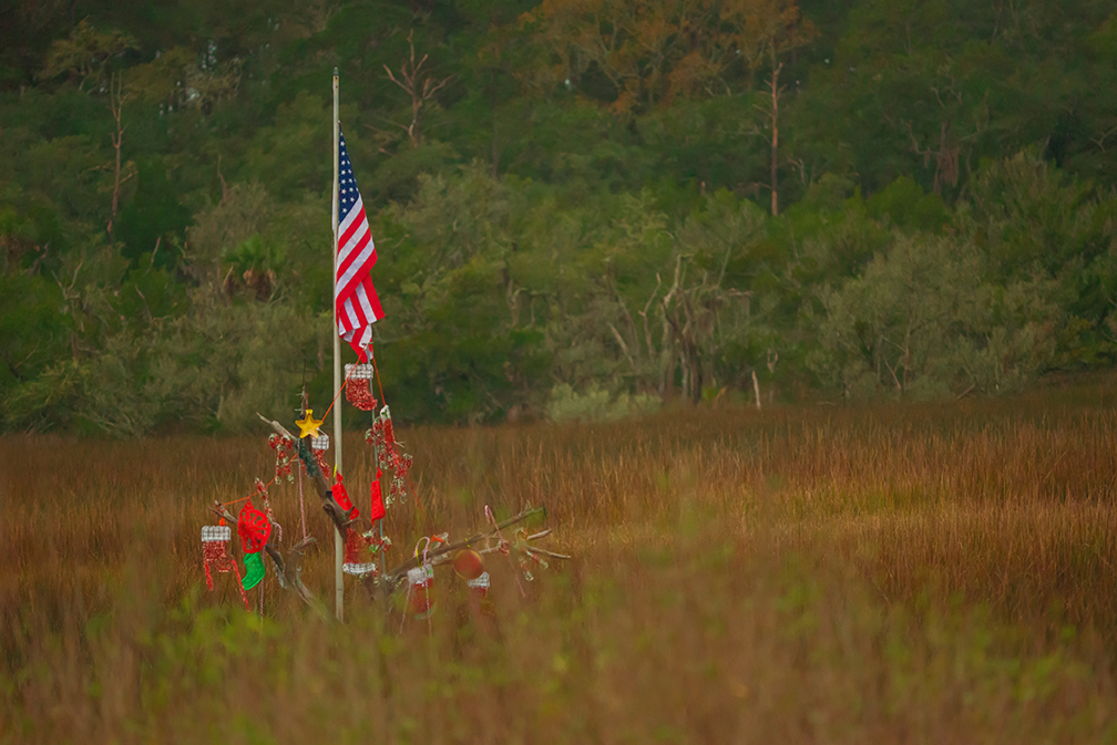 Beautiful Botany Bay - Mary Presson Roberts Photography
