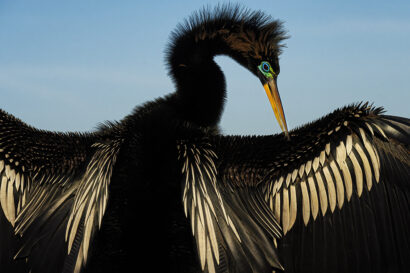 - Mary Presson Roberts Photography